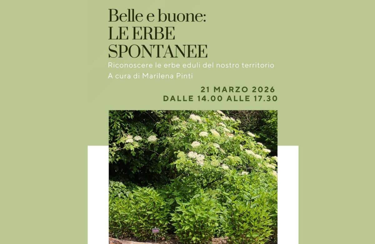 Sarezzo - VISIT VALLETROMPIA